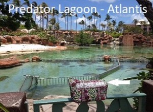 Go See Ken Go See Ken - Bike Lane Houston