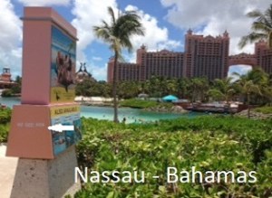 Go See Ken Go See Ken - Bike Lane Houston